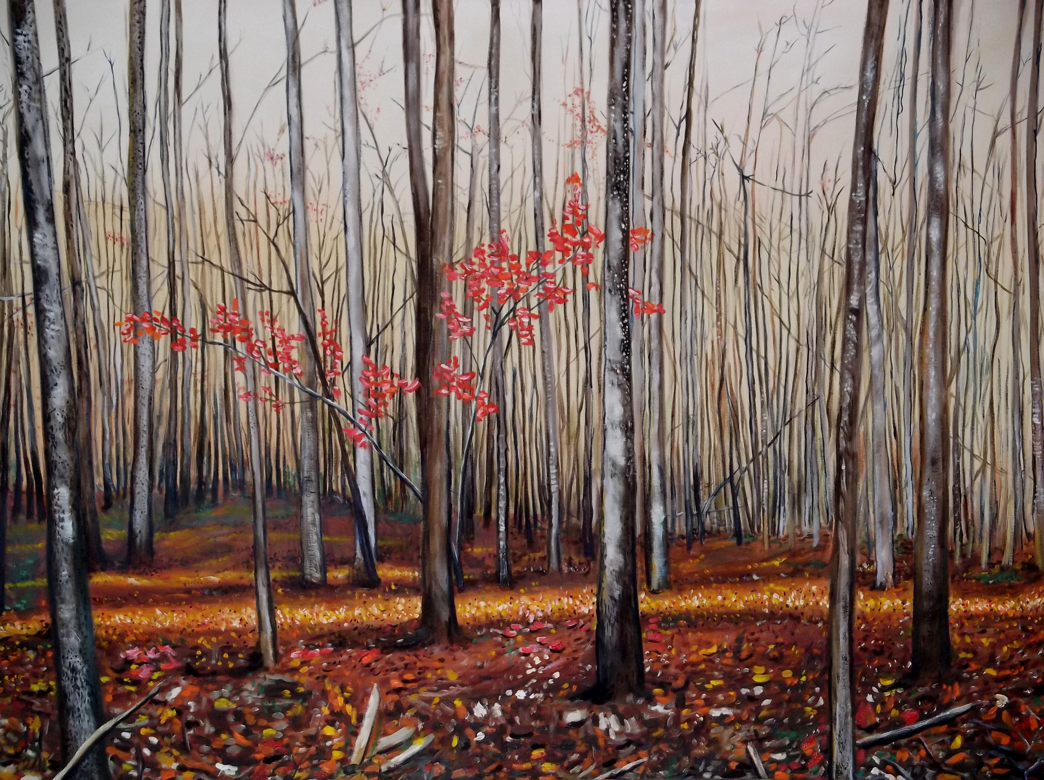 New Painting: Red Maple – Norbert Haupt