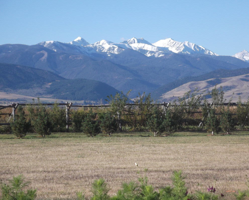 A Parting View: Good Bye Montana – Norbert Haupt