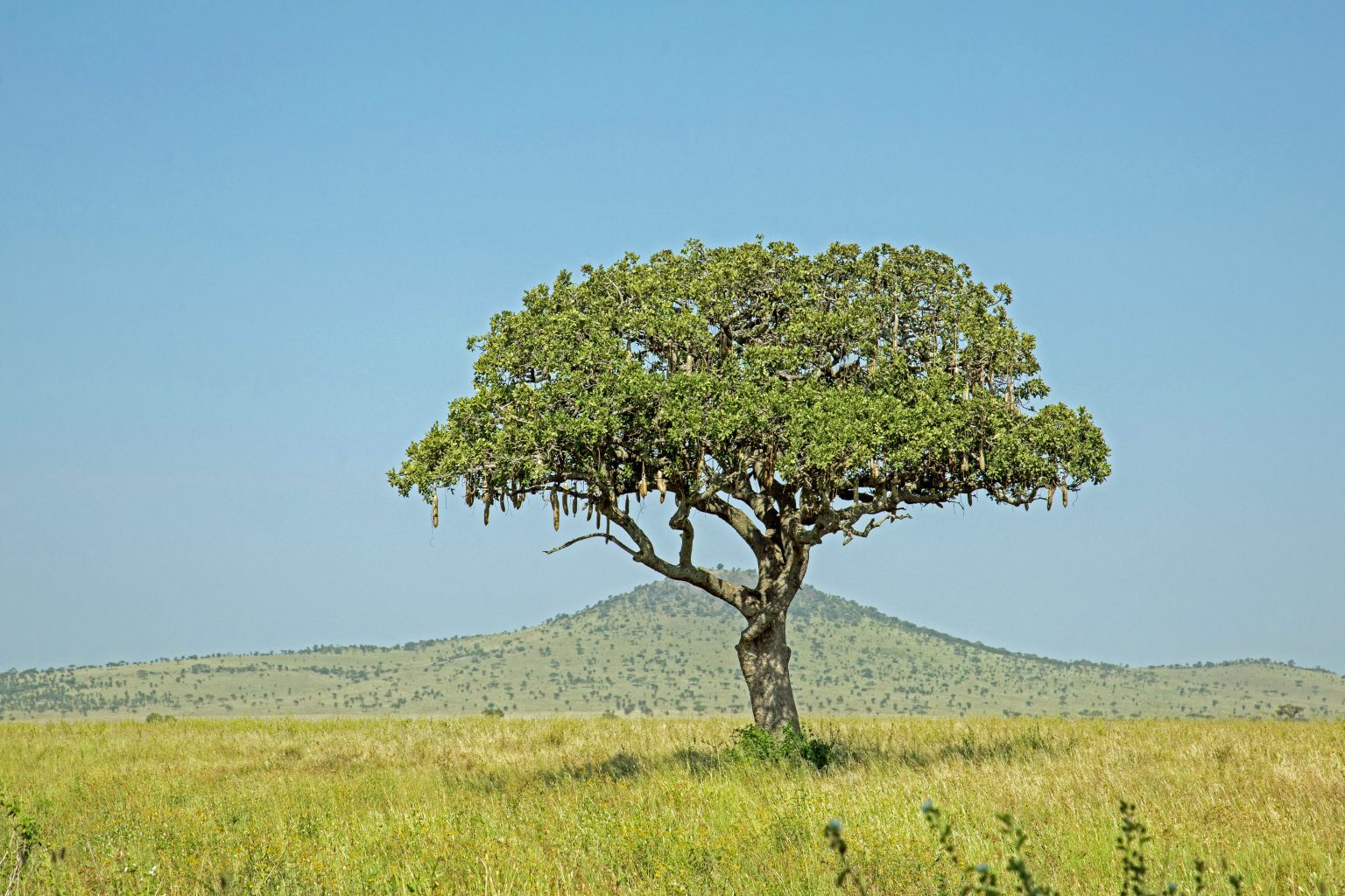 Art – Page 2 – Norbert Haupt