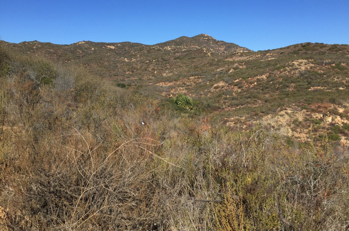 Hiking Stanley Peak in Daley Ranch, Escondido – Norbert Haupt