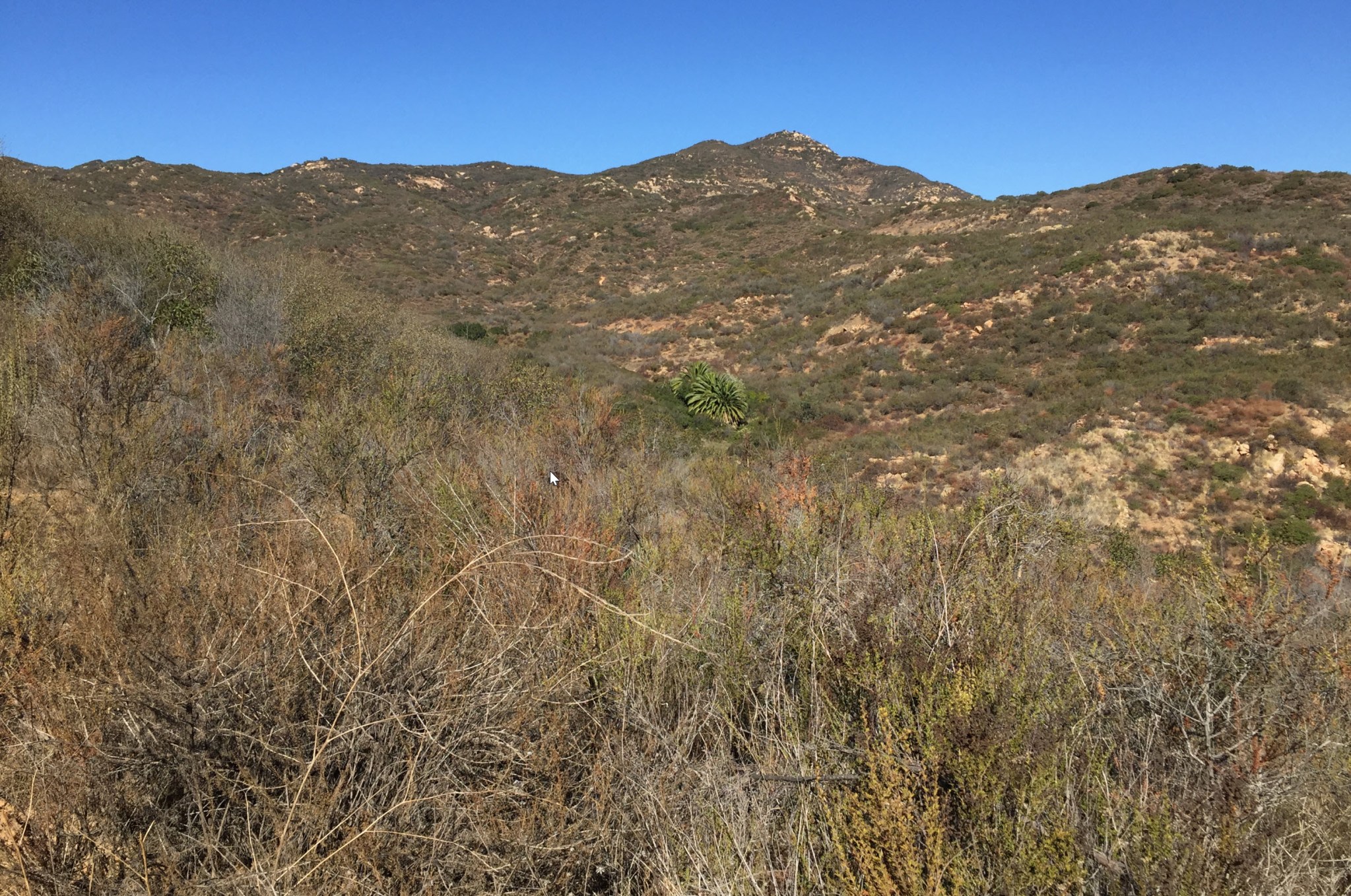 Hiking Stanley Peak in Daley Ranch, Escondido – Norbert Haupt