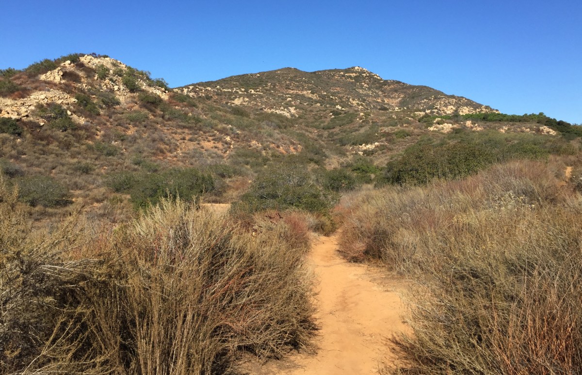 Hiking Stanley Peak in Daley Ranch, Escondido – Norbert Haupt