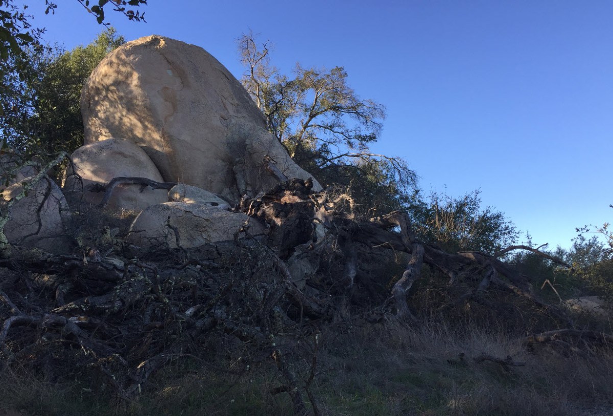 Hiking Boulder Loop in Daley Ranch – Norbert Haupt