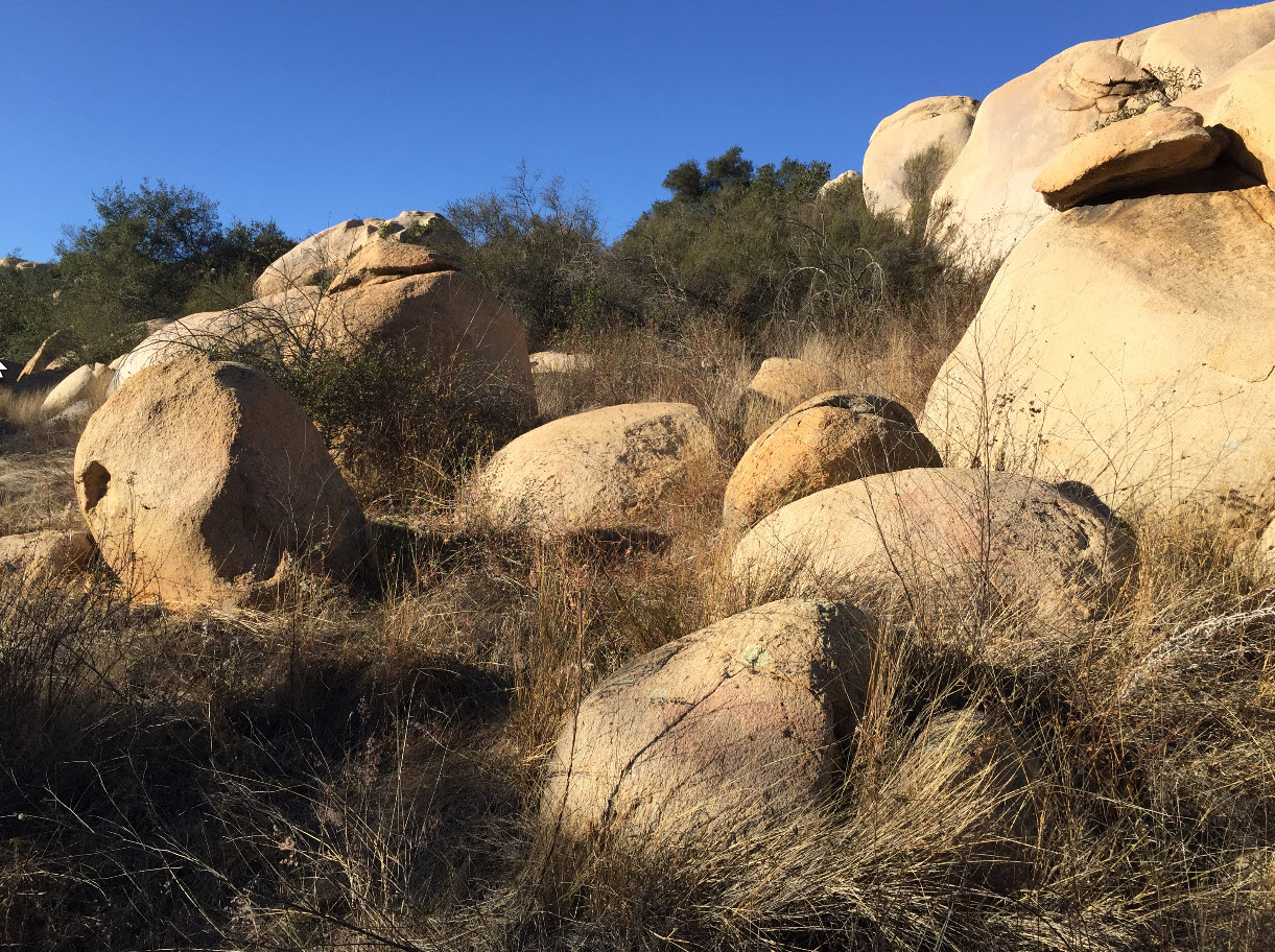 Hiking Boulder Loop in Daley Ranch – Norbert Haupt