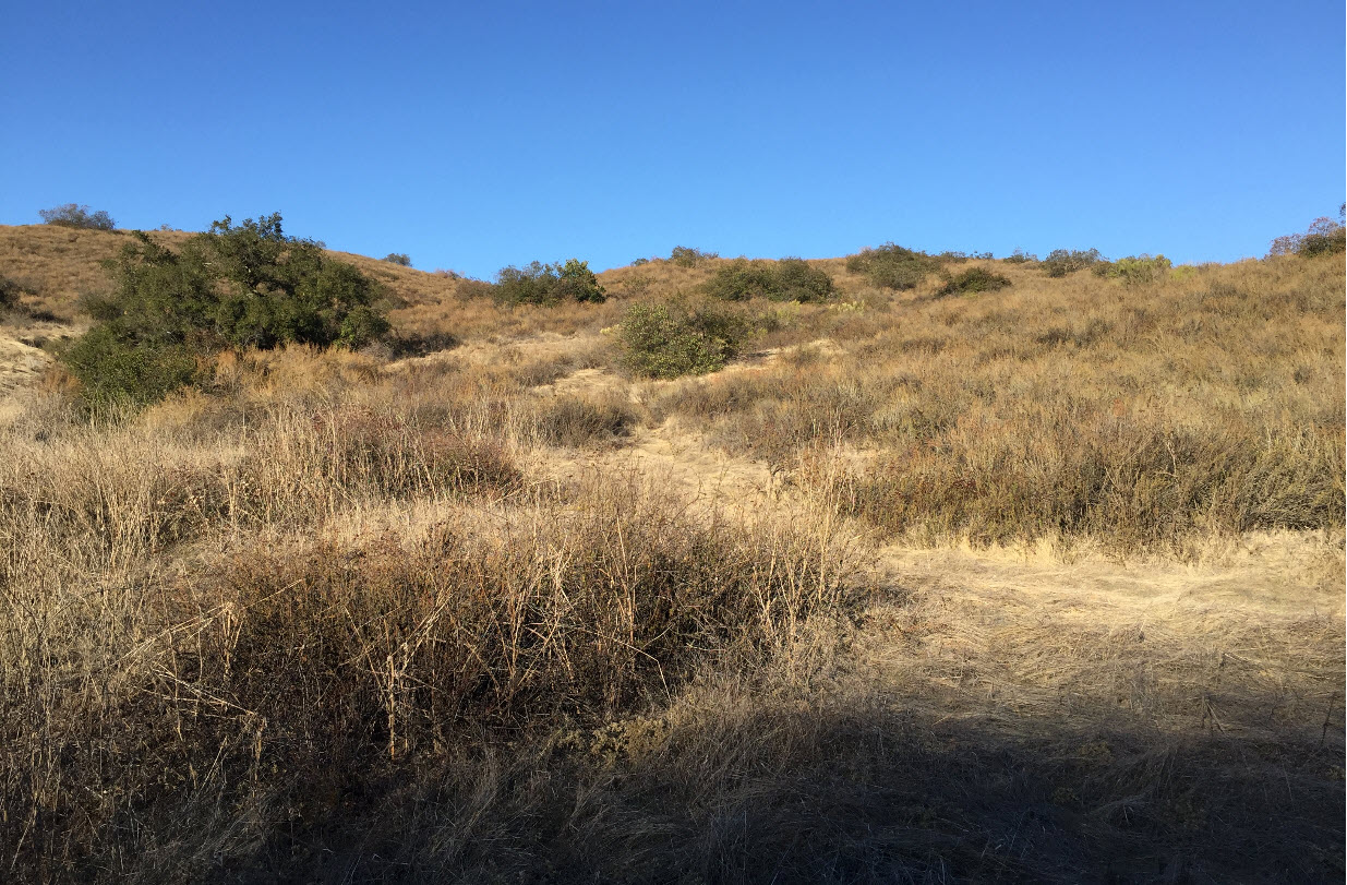 Hiking Boulder Loop in Daley Ranch – Norbert Haupt