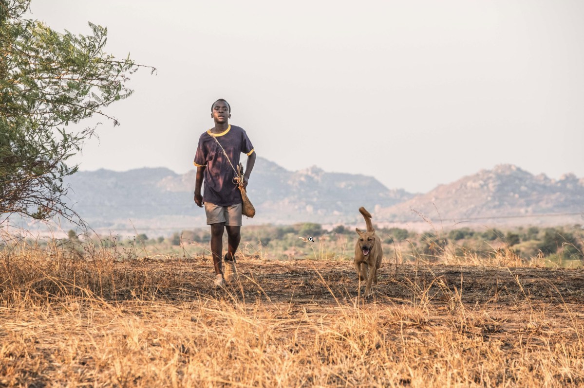 Movie Review: The Boy Who Harnessed the Wind – Norbert Haupt