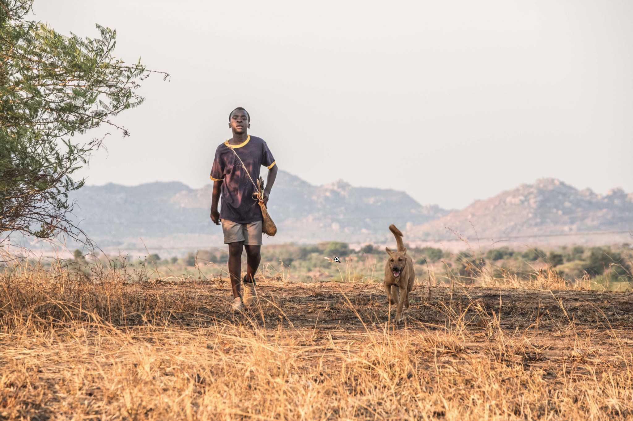 Movie Review: The Boy Who Harnessed the Wind – Norbert Haupt