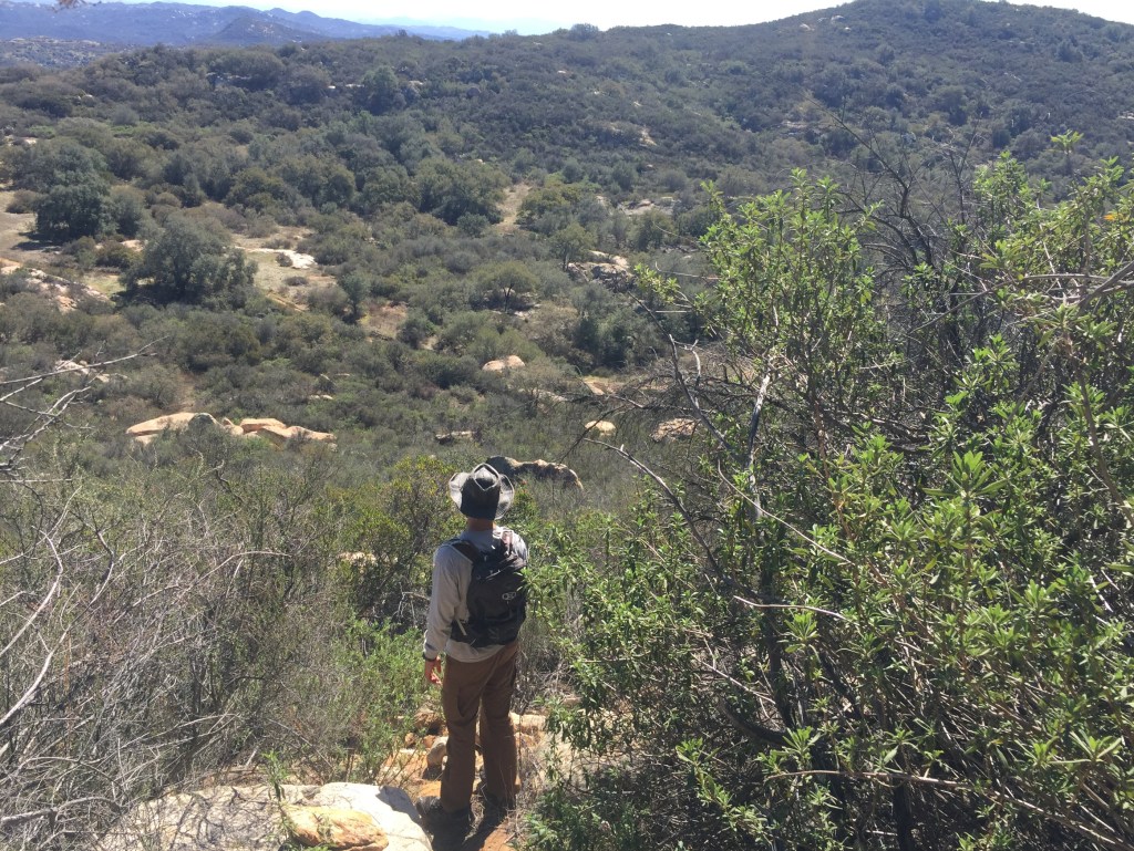 Hiking Burnt Mountain on Daley Ranch – Norbert Haupt