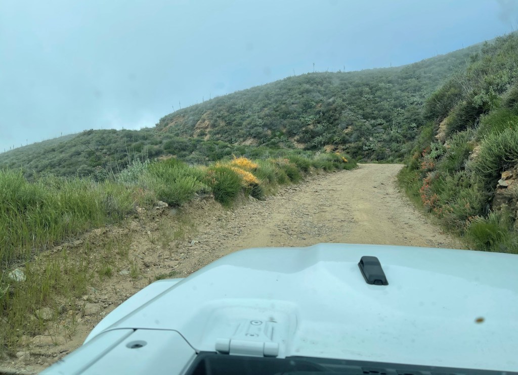 Nate Harrison Grade Road – lower sections – Norbert Haupt