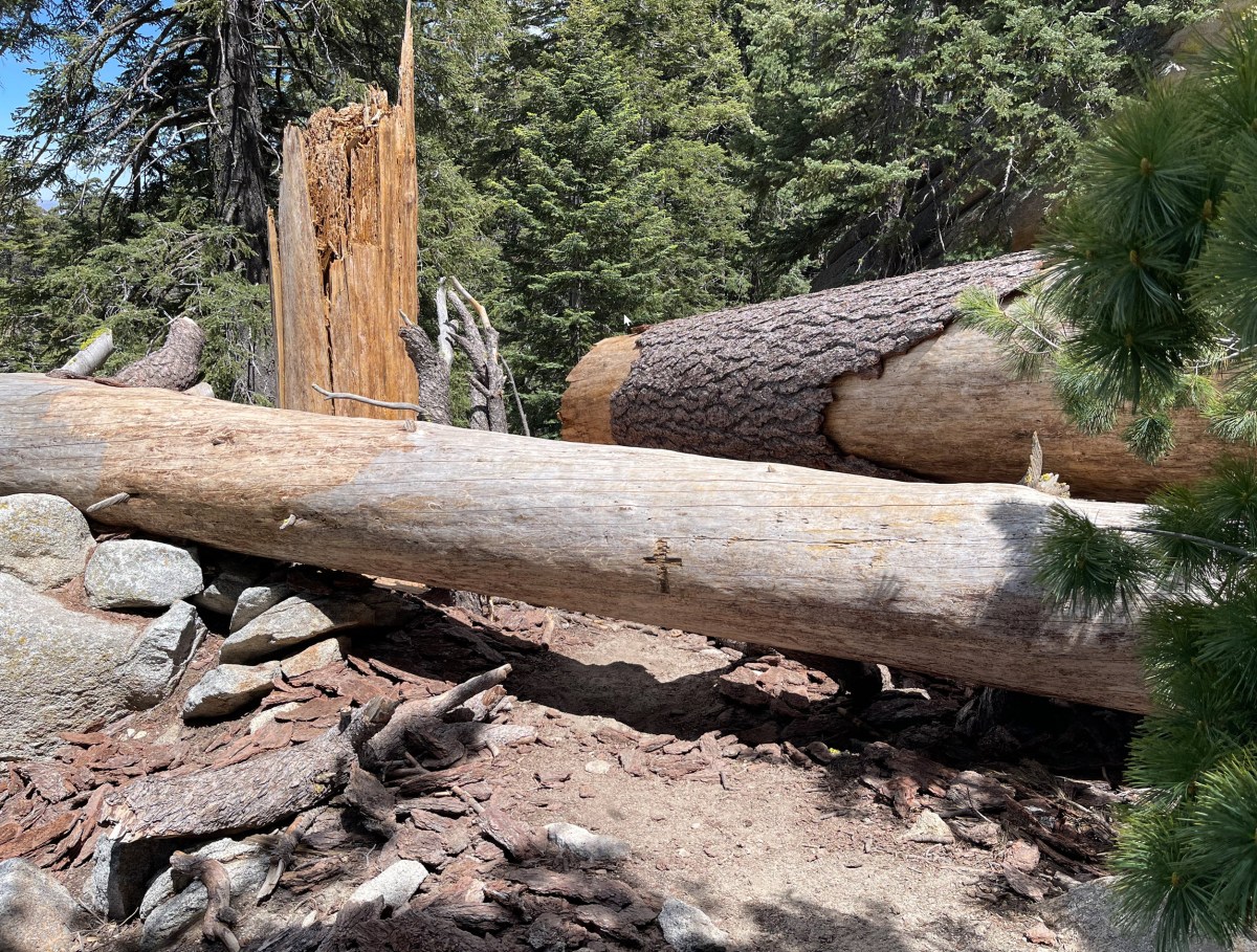 Hiking: Fuller Ridge Trail – Norbert Haupt