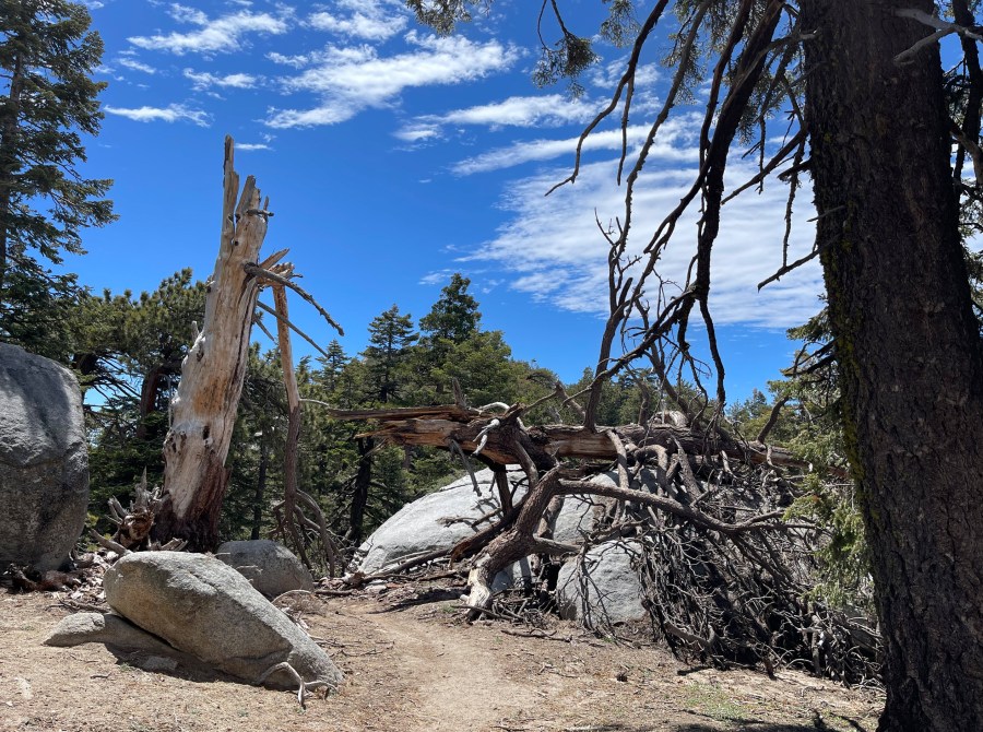 Hiking: Fuller Ridge Trail – Norbert Haupt